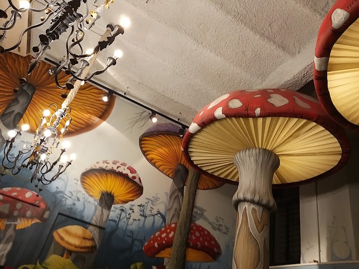 Alice Secret Garden - Fridays Flats