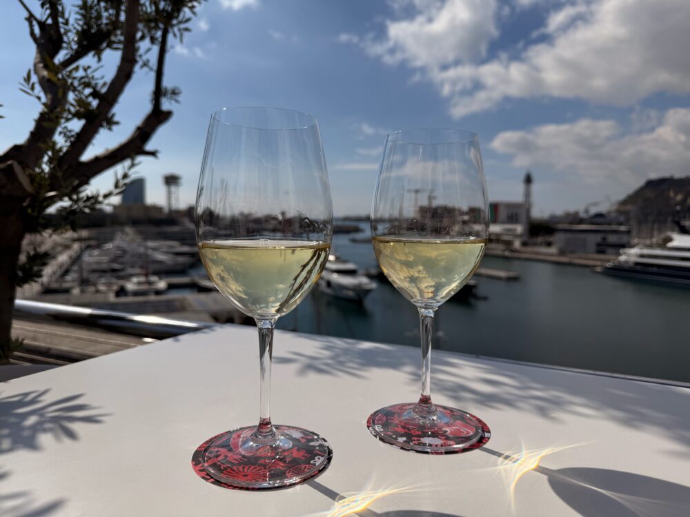 La Terrassa de les Indianes - Fridays Flats